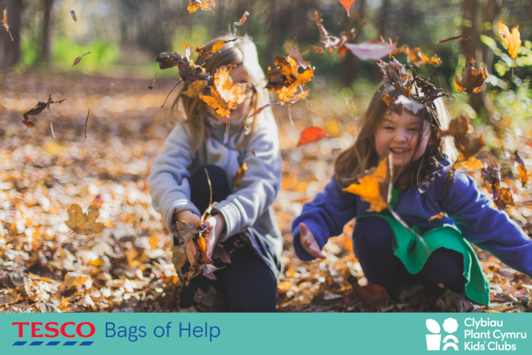Projects - Clybiau Plant Cymru (EN)